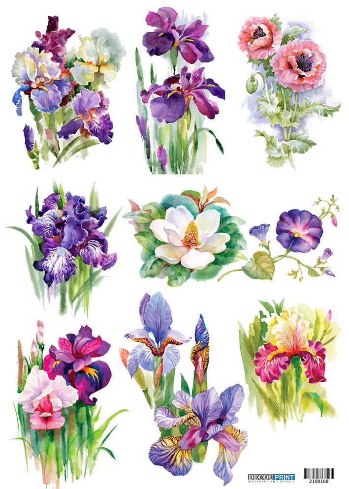 ΛΟΥΛΟΥΔΙΑ